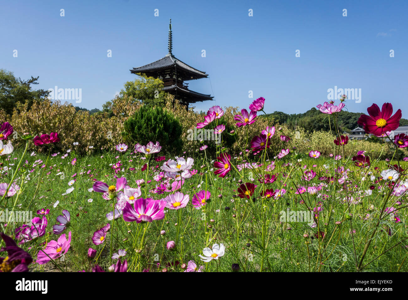 Buddhist Cosmos Stock Photos & Buddhist Cosmos Stock Images - Alamy