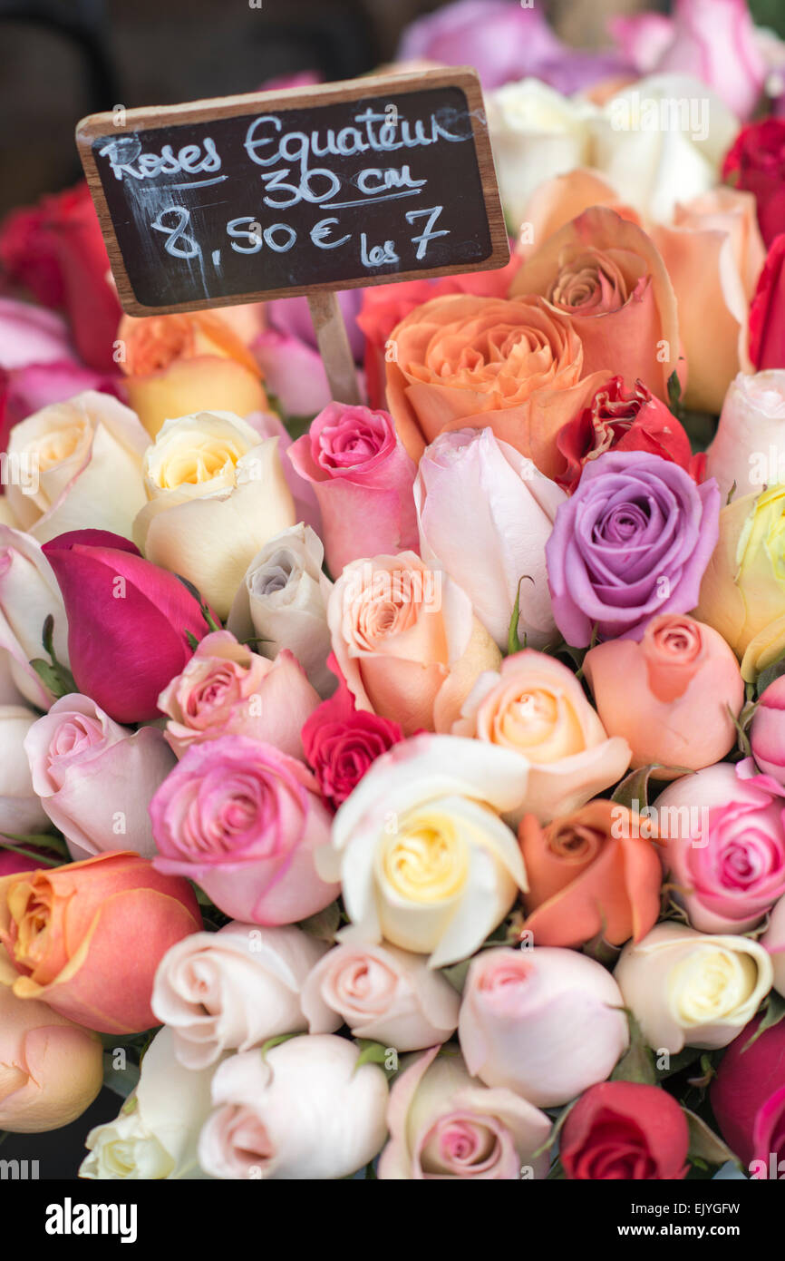Bundles of cut roses at market in Paris, France Stock Photo - Alamy