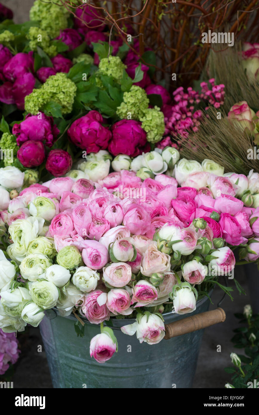 Bundles of cut ranunculus flowers at market in Paris, France Stock ...