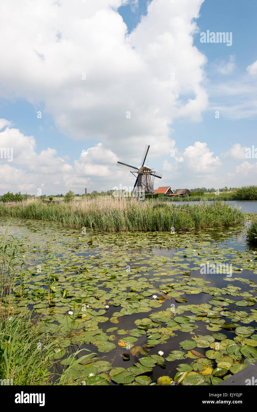 Authentic Dutch windmill at Kinderdijk, The Netherlands Stock Photo - Alamy