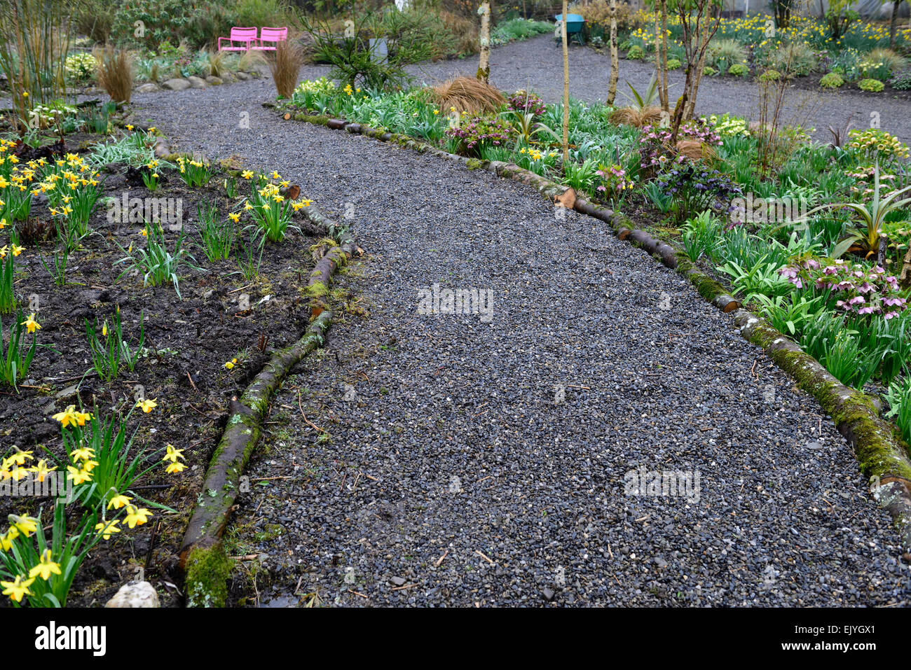 gravel path bordered herbaceous beds mixed planting scheme spring grow ...