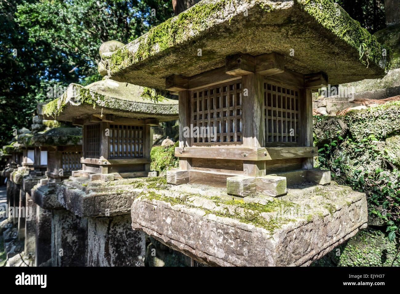 Japanese Lanterns In Tokyo Japanese Stock Photos & Japanese Lanterns In ...