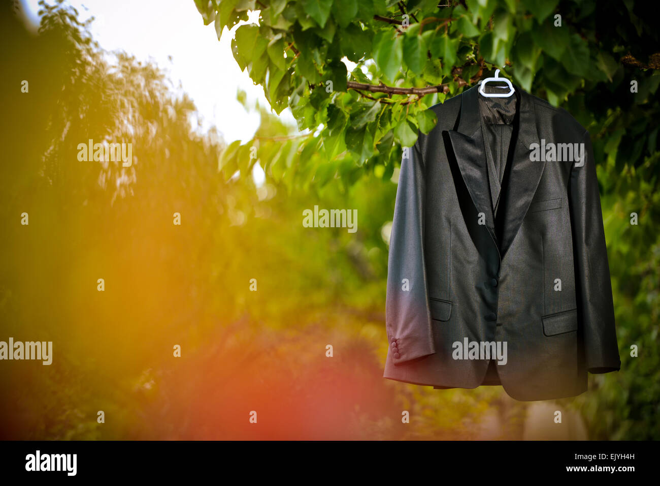Hanging groom suit hi-res stock photography and images - Alamy