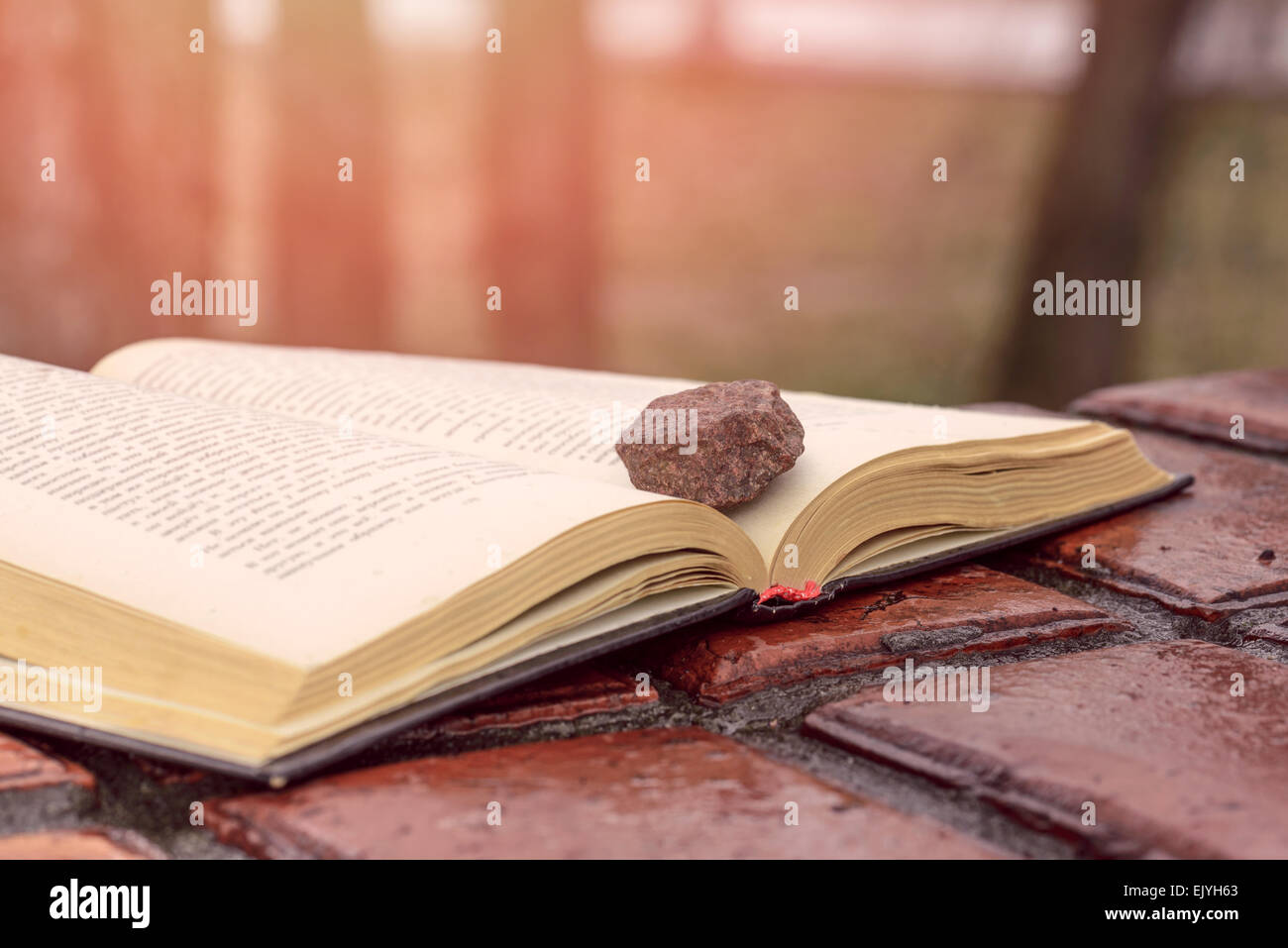 Stone on an open book put on red wet tiles. The sun rays warm the tree ...