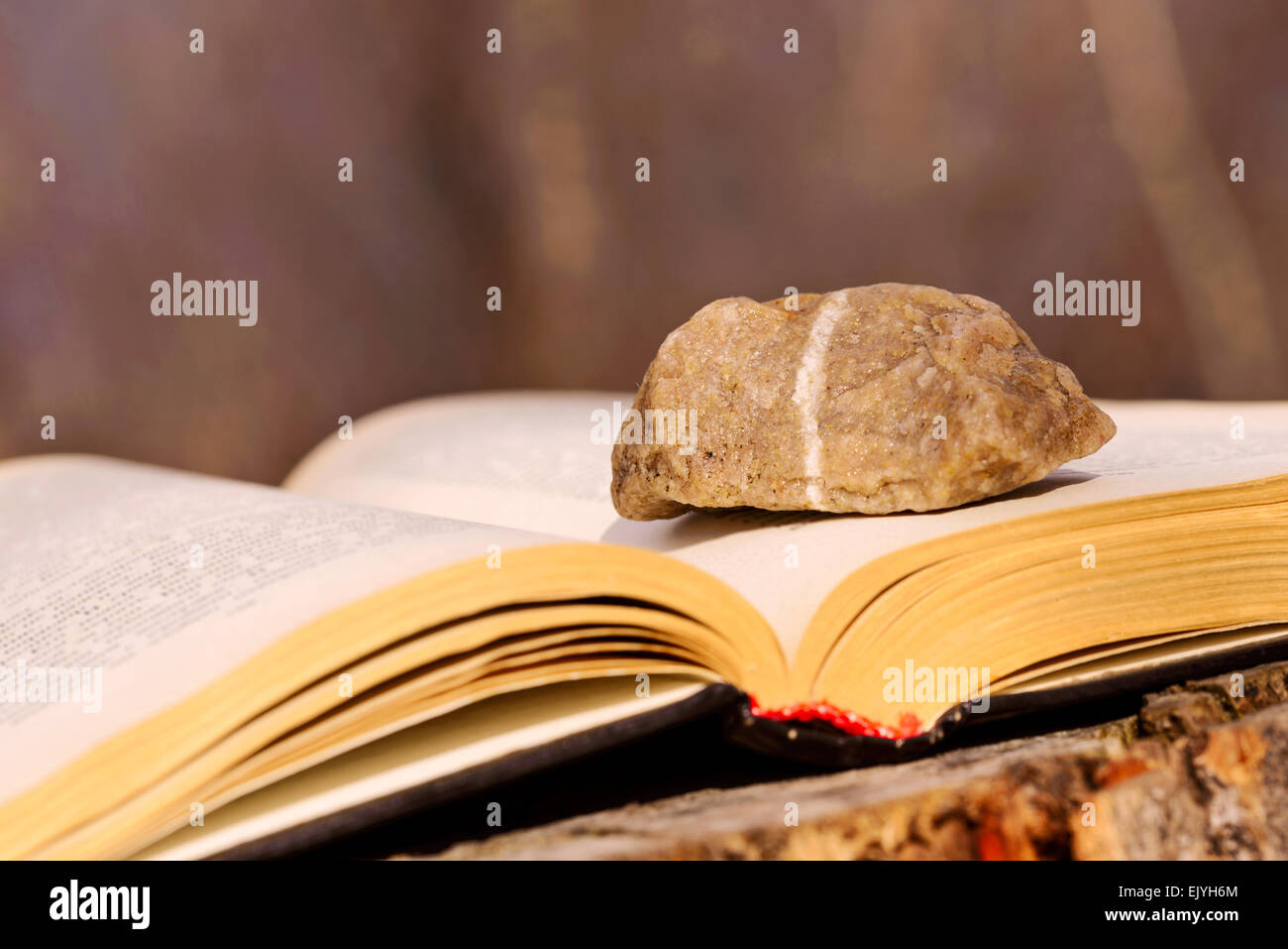 Reading stone history hi-res stock photography and images - Alamy