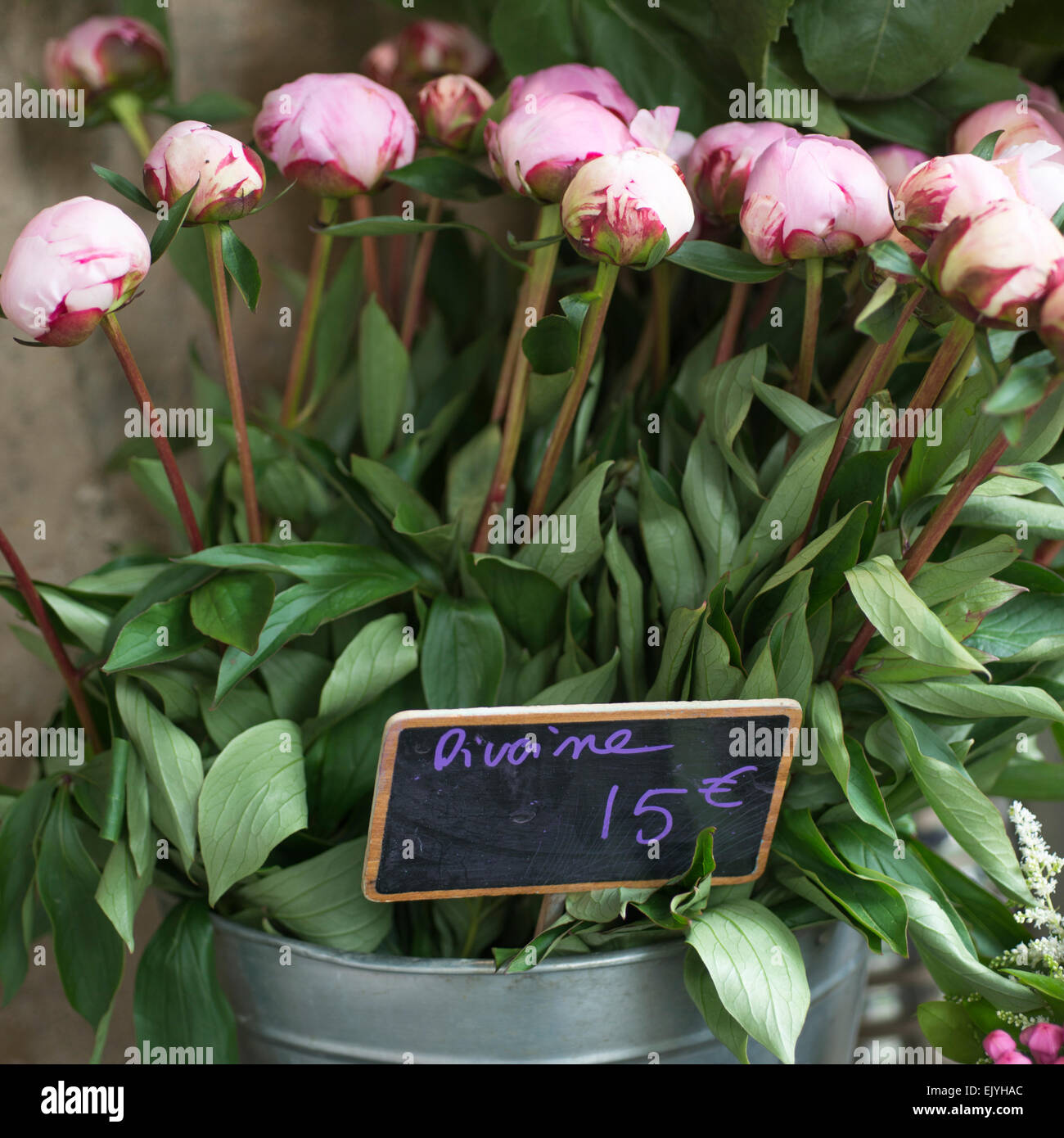 Cut peonies at a market in Paris, France Stock Photo - Alamy