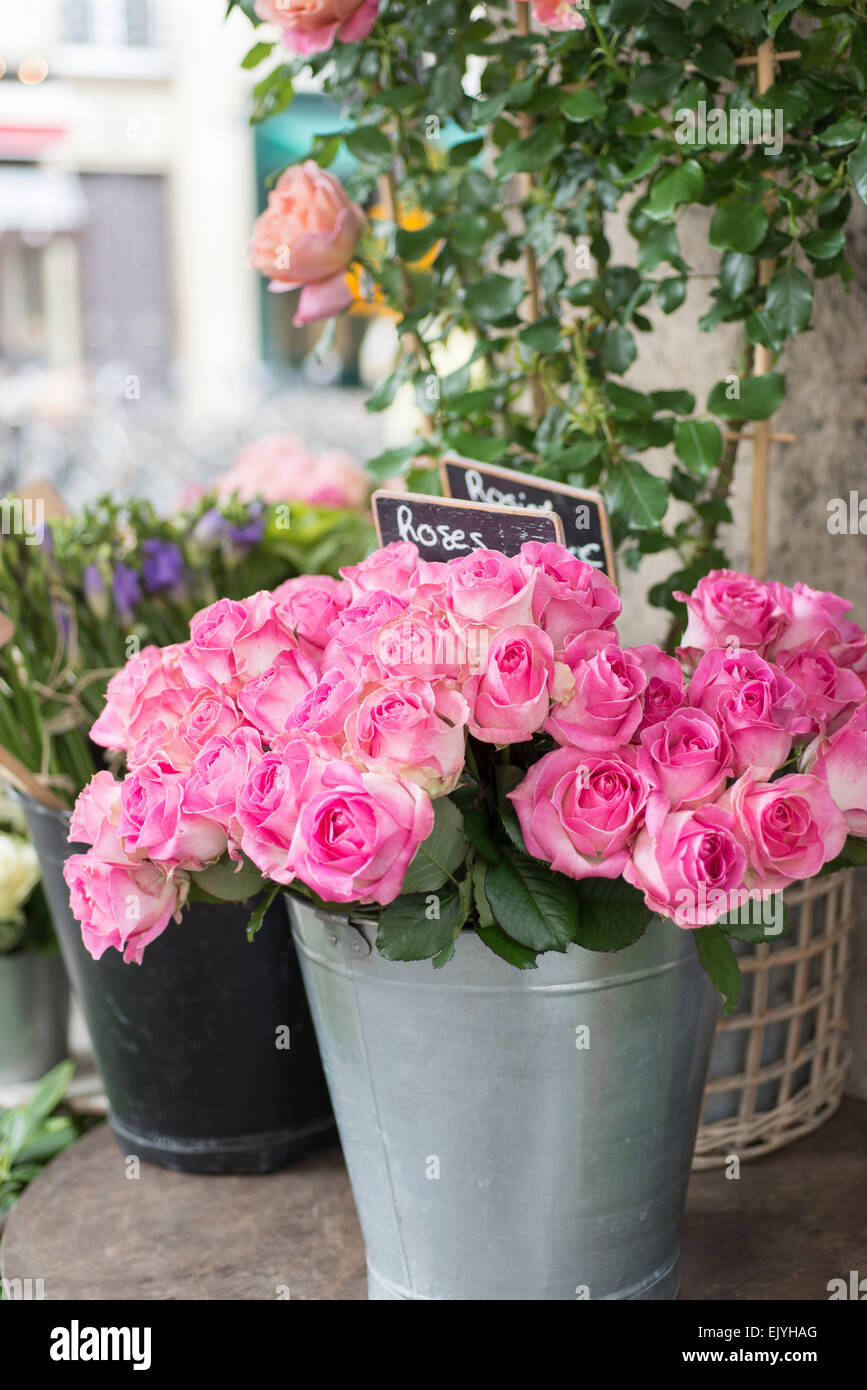 Bundles of cut roses at market in Paris, France Stock Photo - Alamy