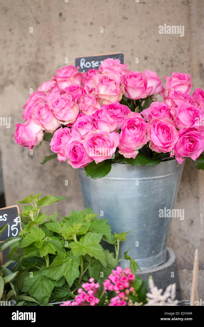Roses of paris hi-res stock photography and images - Alamy