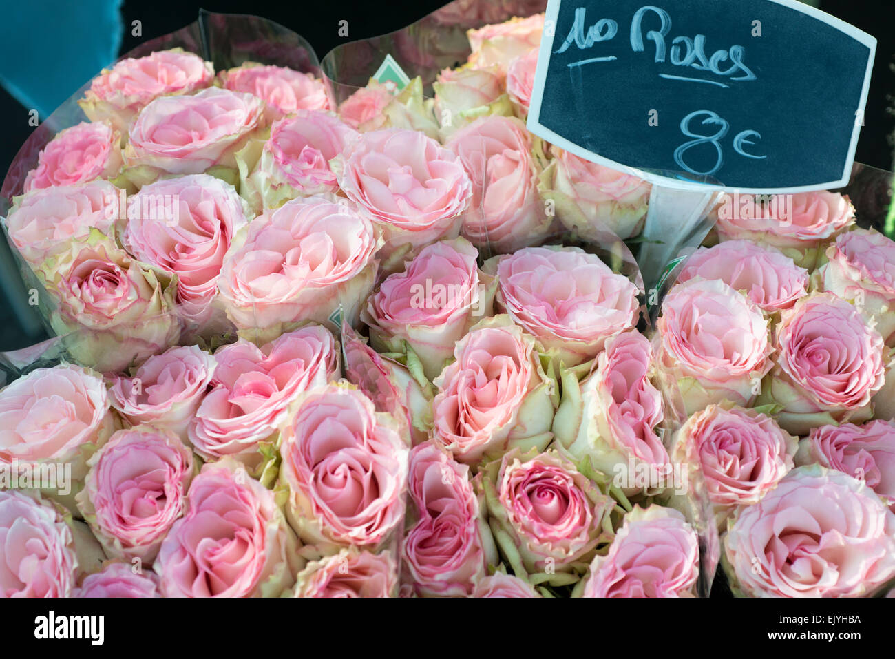 Bundles of cut roses at market in Paris, France Stock Photo - Alamy
