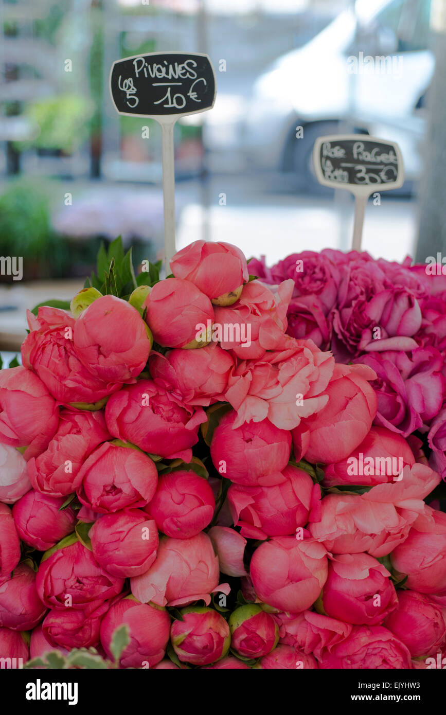 Cut peonies at a market in Paris, France Stock Photo - Alamy