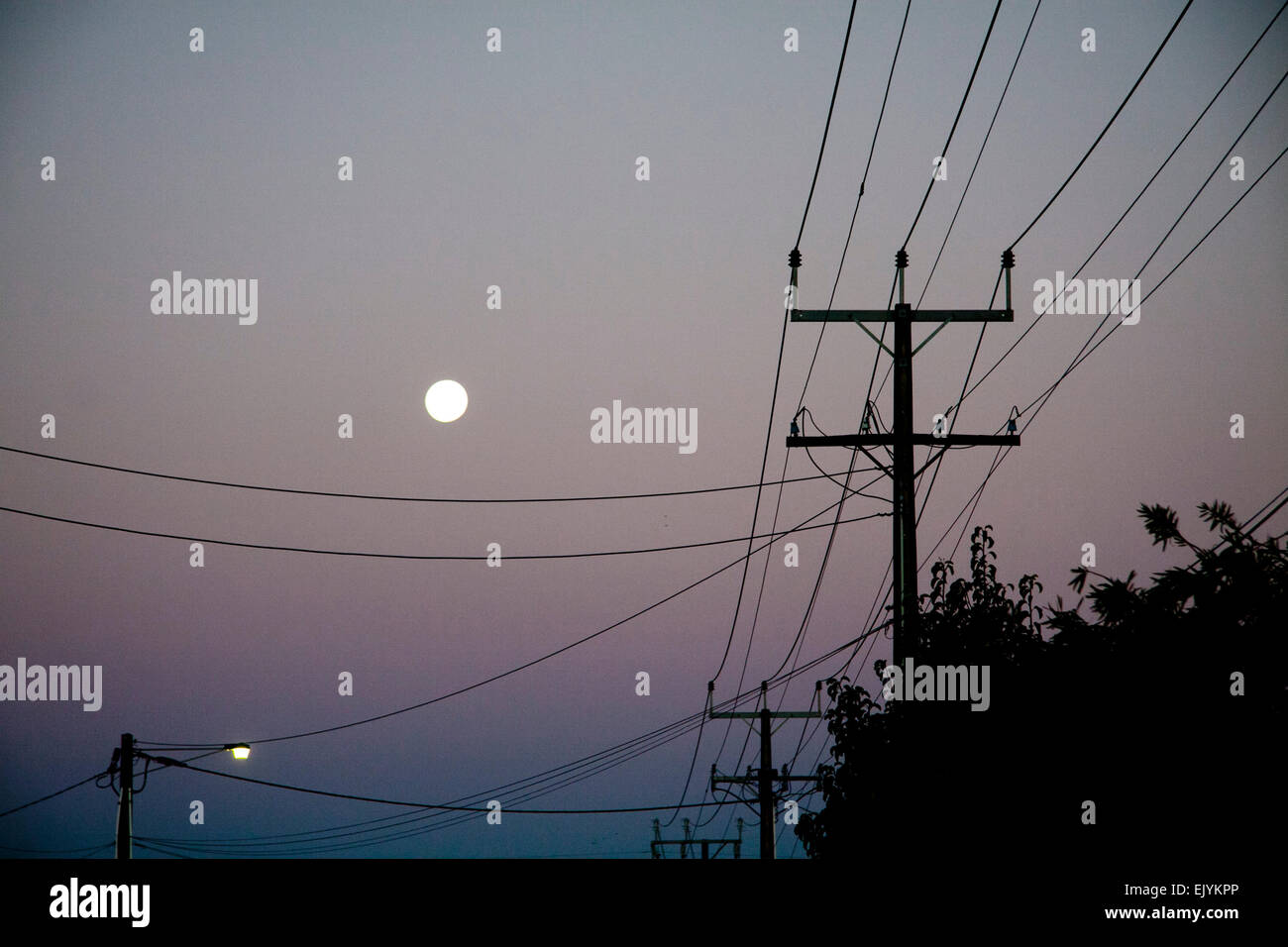 April paschal hi-res stock photography and images - Alamy