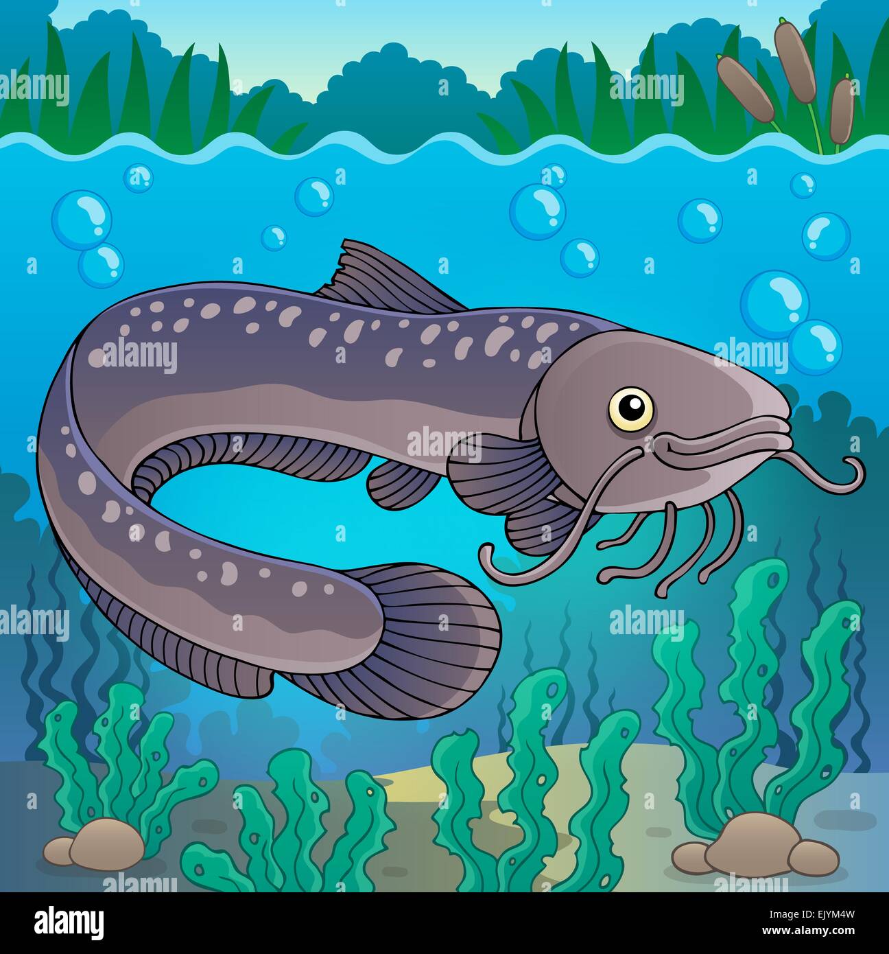 Freshwater fish topic image 2 - picture illustration Stock Photo - Alamy