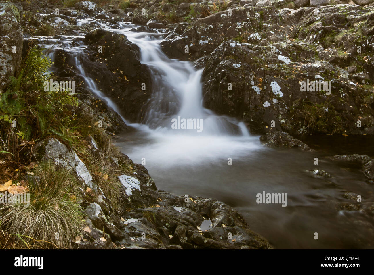 Stream flow into lake hi-res stock photography and images - Alamy