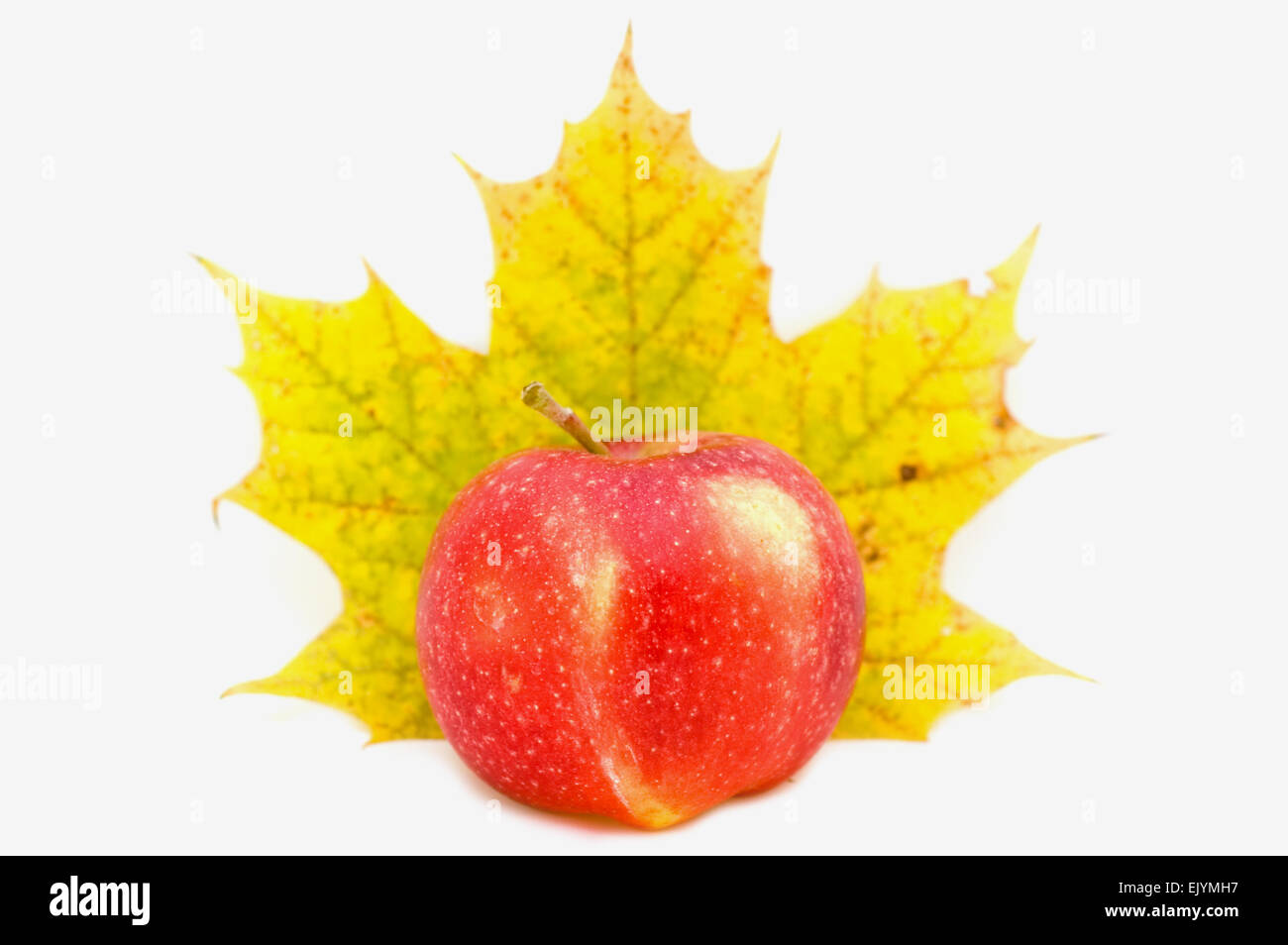 Apple and maple leaf Stock Photo - Alamy