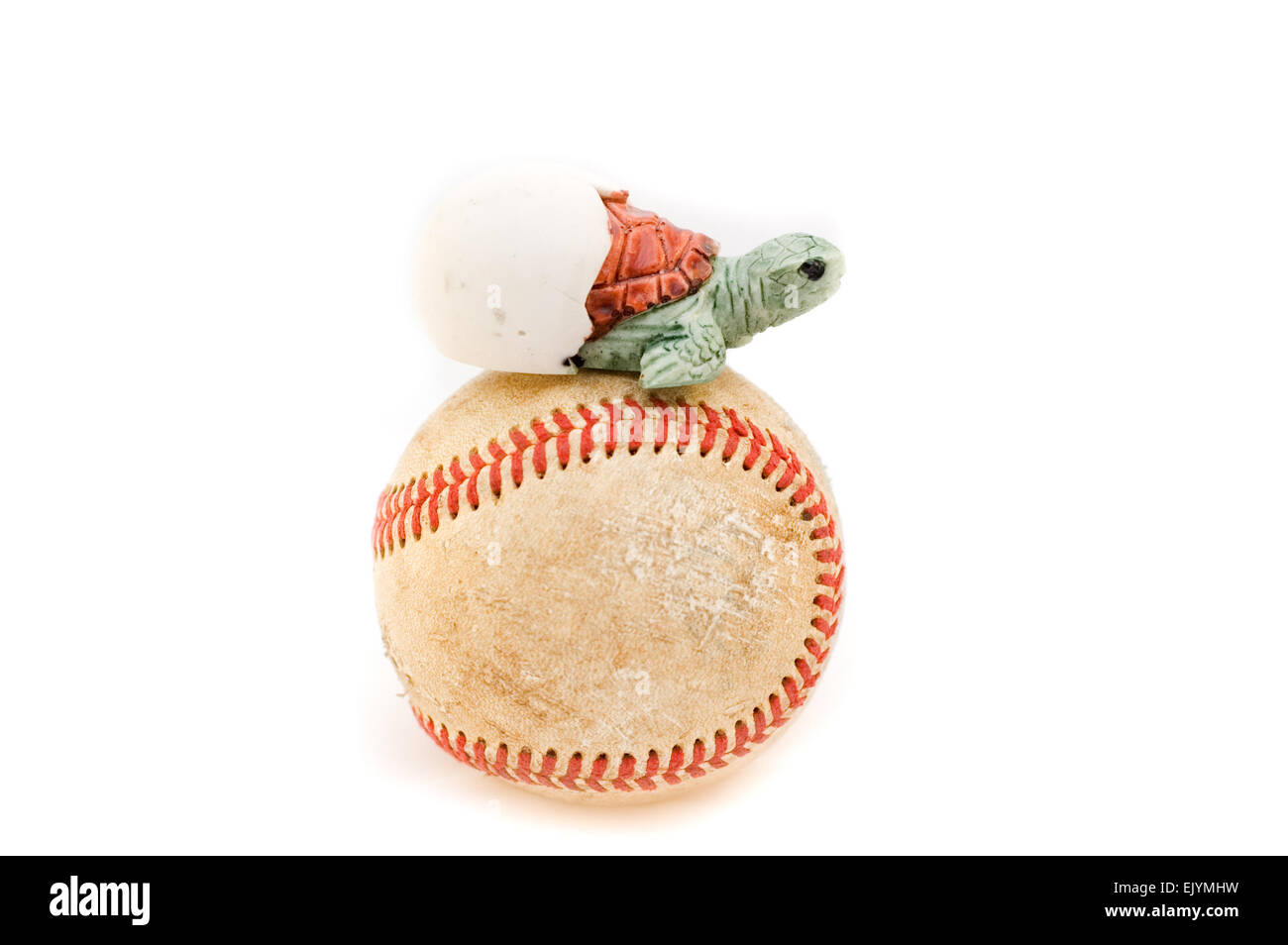 Baseball ball and turtle Stock Photo - Alamy