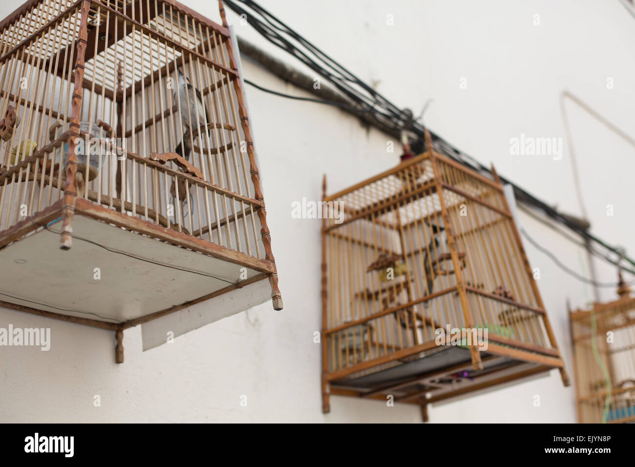 Bamboo cages hi-res stock photography and images - Alamy