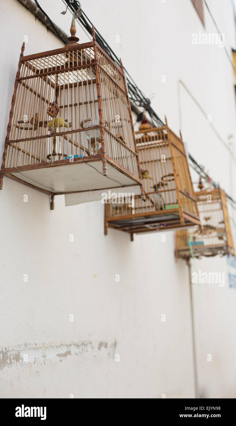 Bamboo cages hi-res stock photography and images - Alamy