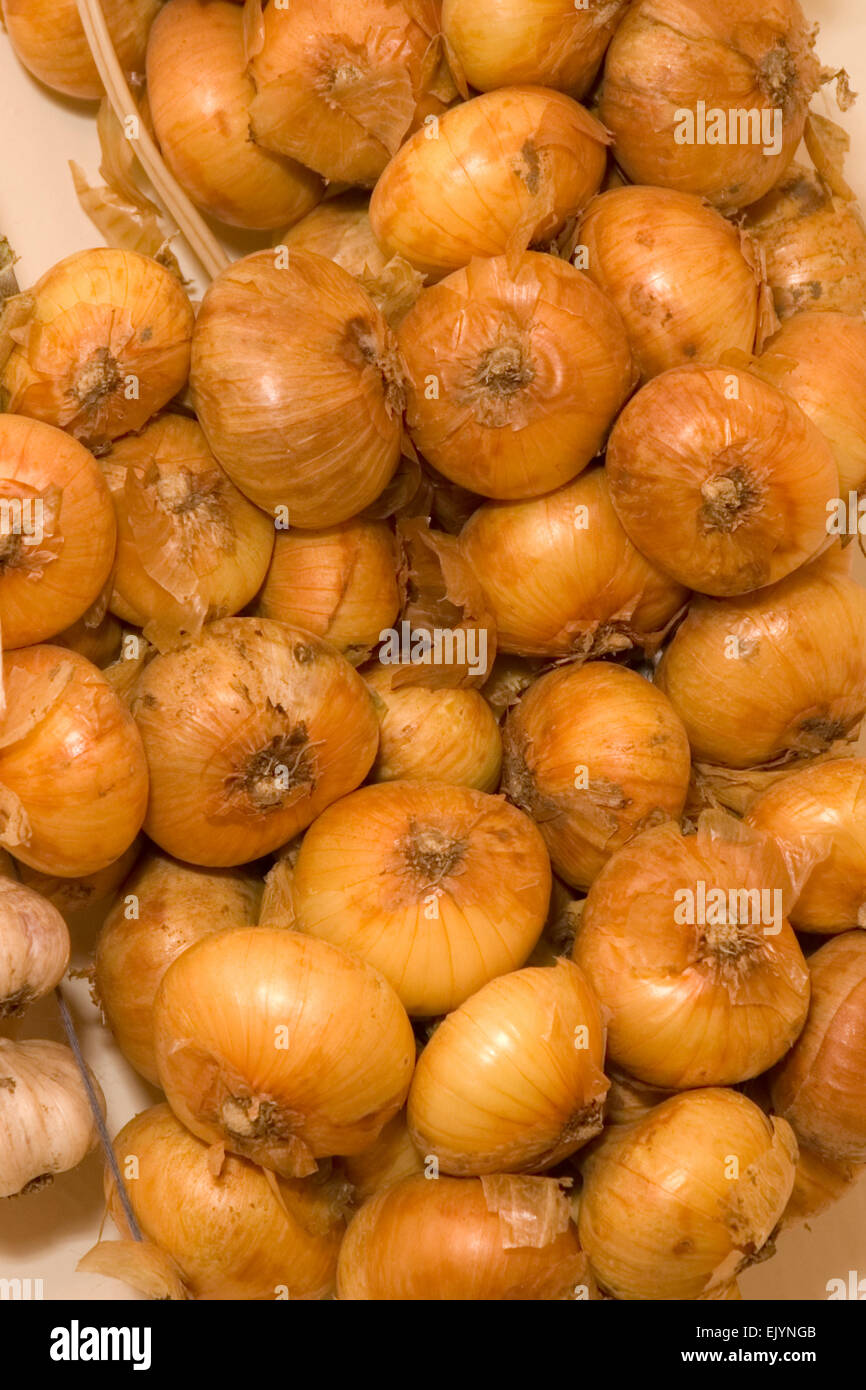 Onion peeling layers hi-res stock photography and images - Alamy
