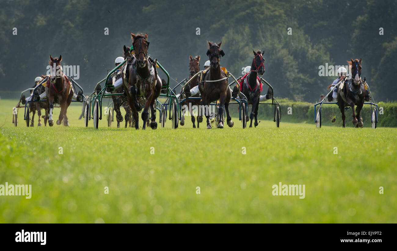 Trotting Track High Resolution Stock Photography and Images - Alamy