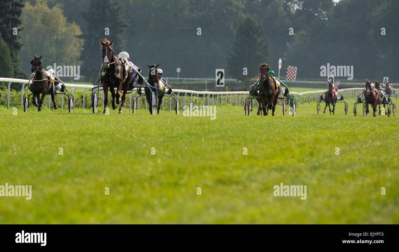 Trotting Track High Resolution Stock Photography and Images - Alamy