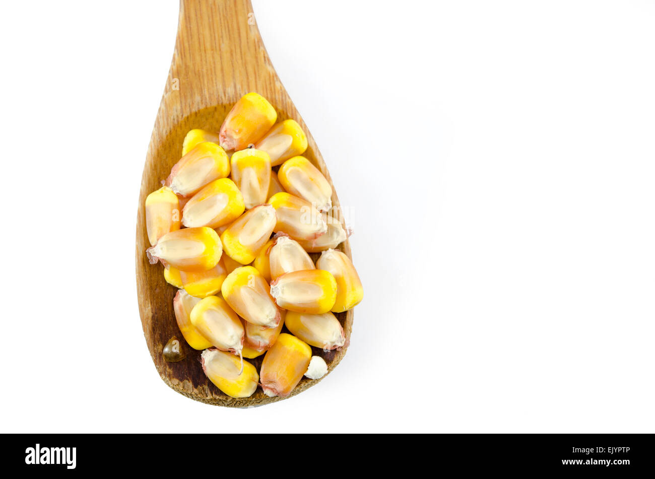 Dry corn cobs detail Cut Out Stock Images & Pictures - Alamy