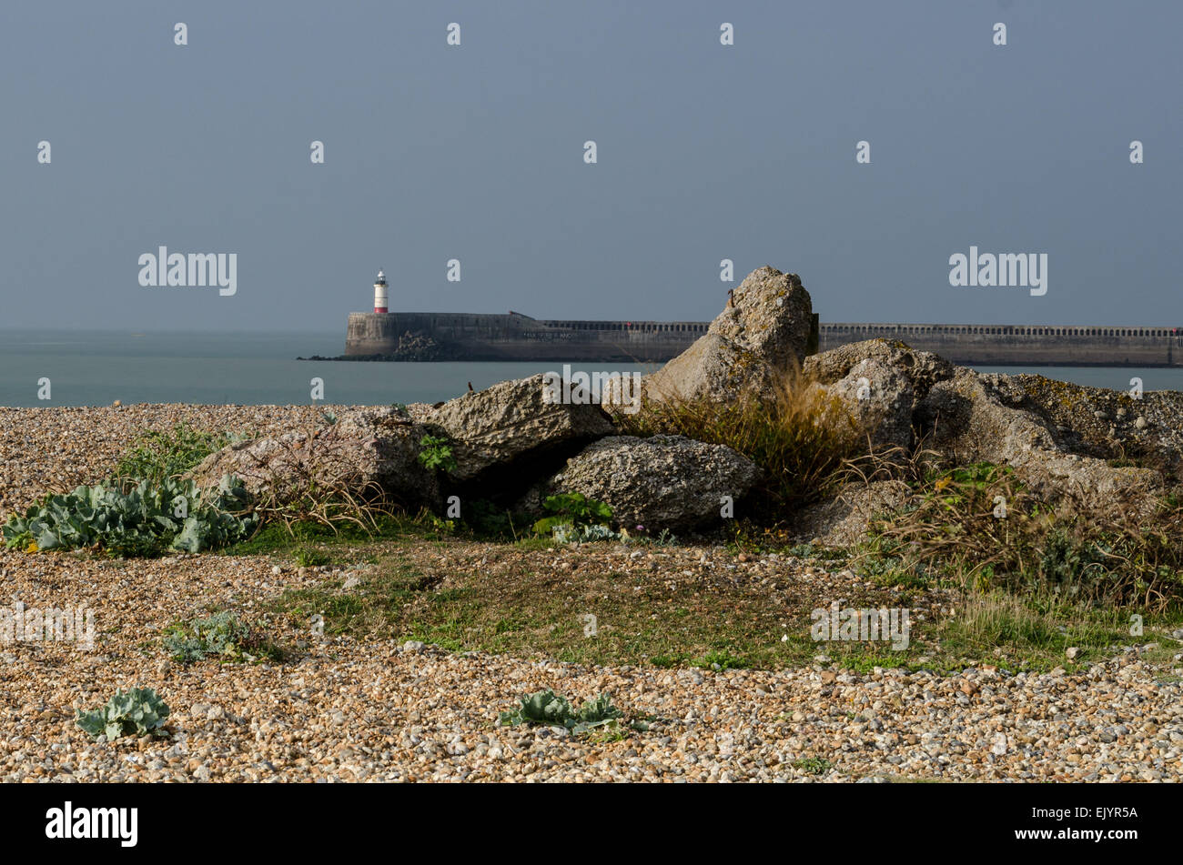 Beach concrete at Tides Mill and harbour wall at Newhaven Stock Photo ...