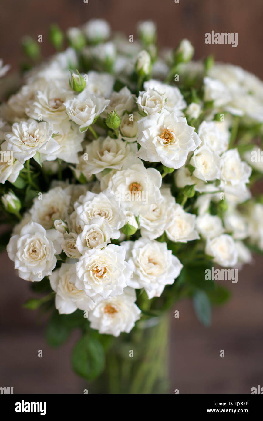 Spray roses hi-res stock photography and images - Alamy