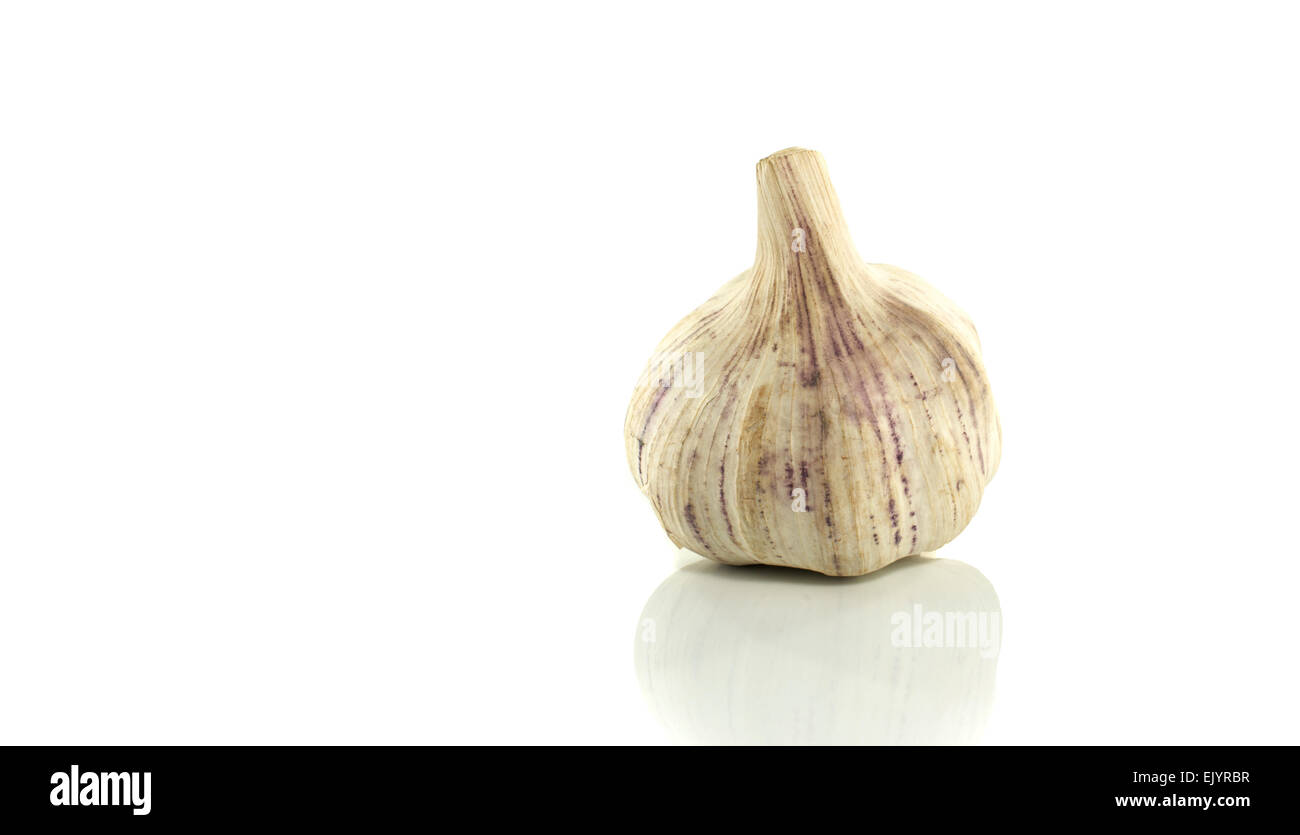 the big french garlic with lot of taste and more spicy then the normal ...