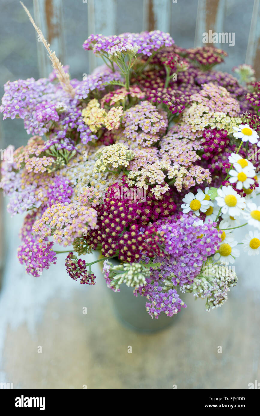 Yarrow Flower Bouquets