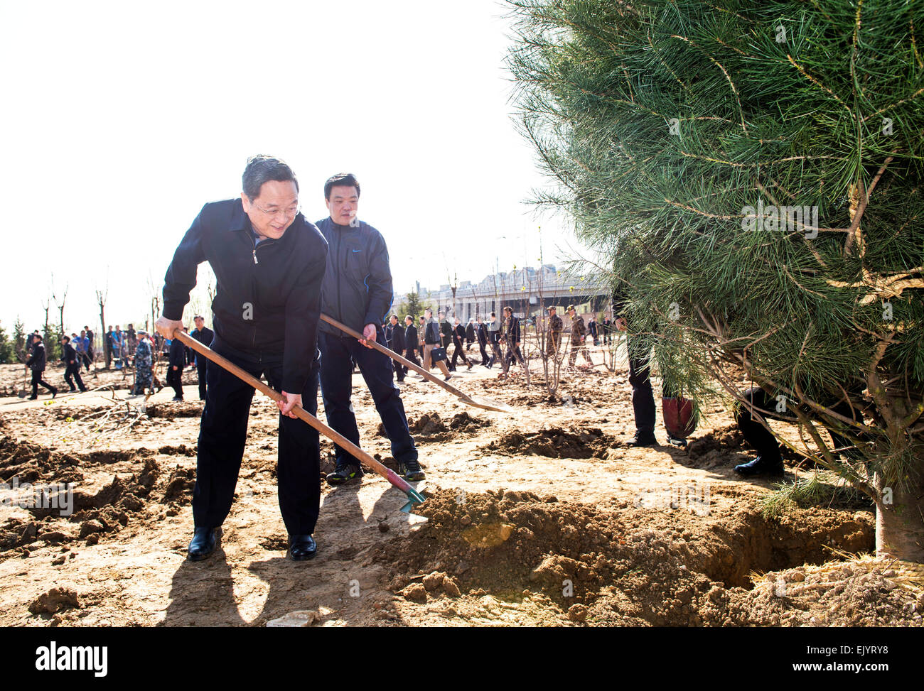 The national leaders tree hi-res stock photography and images - Alamy