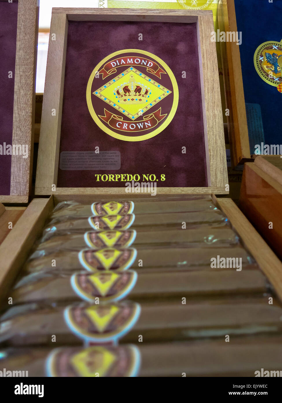 Hand rolled boxed cigars, Ybor City, Tampa, Florida, USA Stock Photo ...