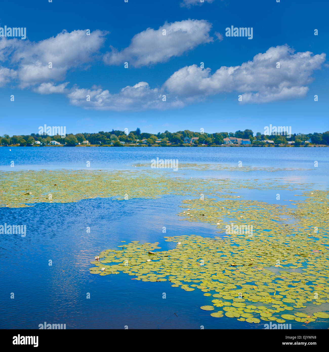 Wakefield massachusetts hi-res stock photography and images - Alamy