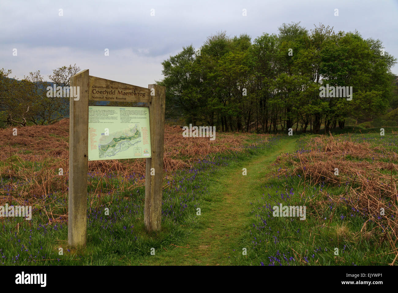 A signpost at the entrance to Coedydd Maentwrog, a woodland in north ...