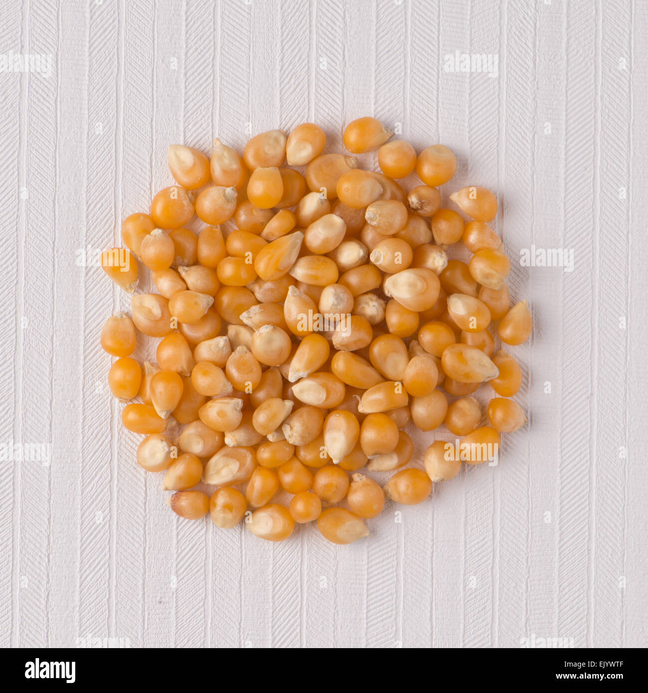 Top view of circle of corn against white vinyl background Stock Photo ...