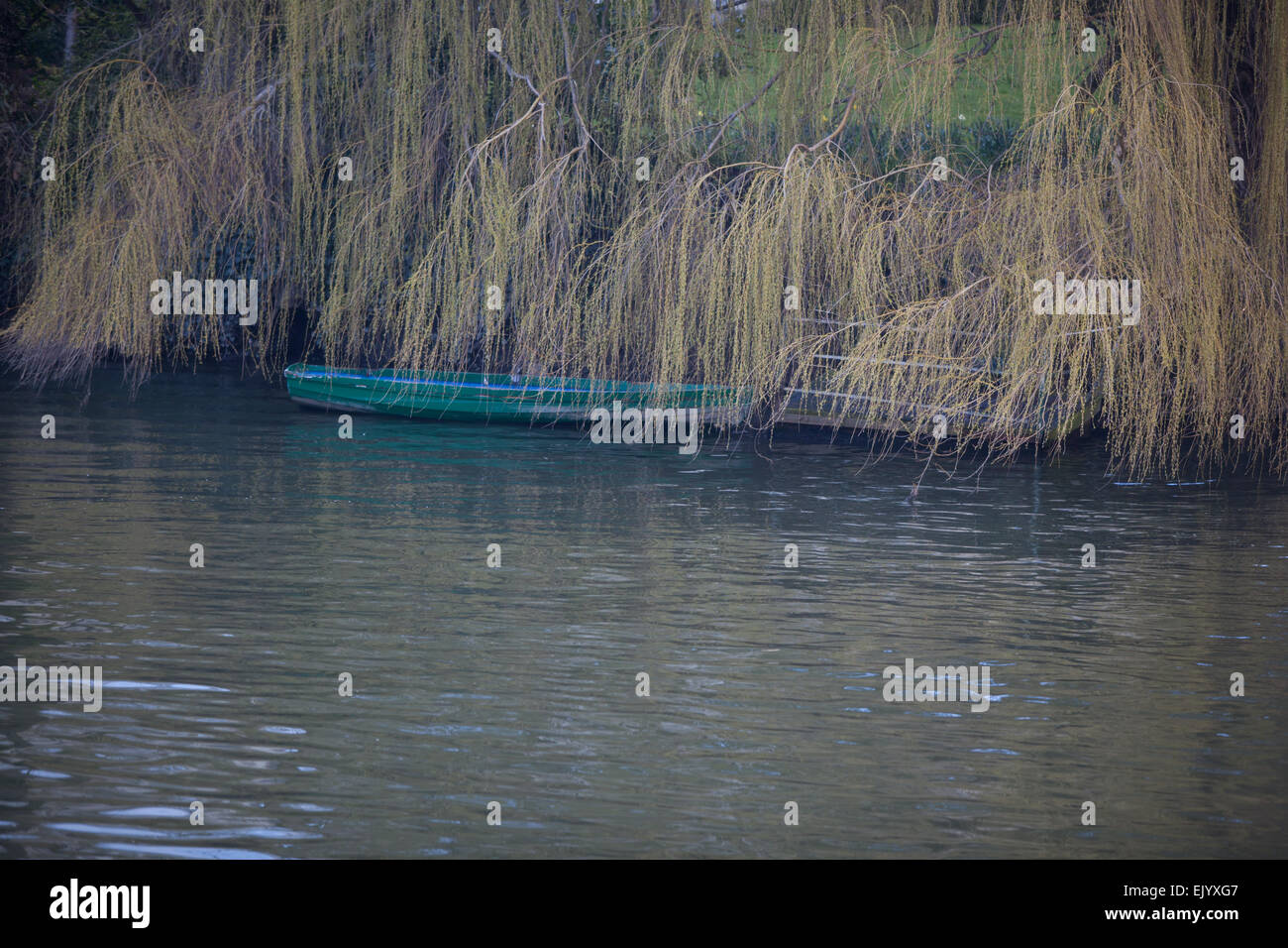 river boat and tree Stock Photo - Alamy