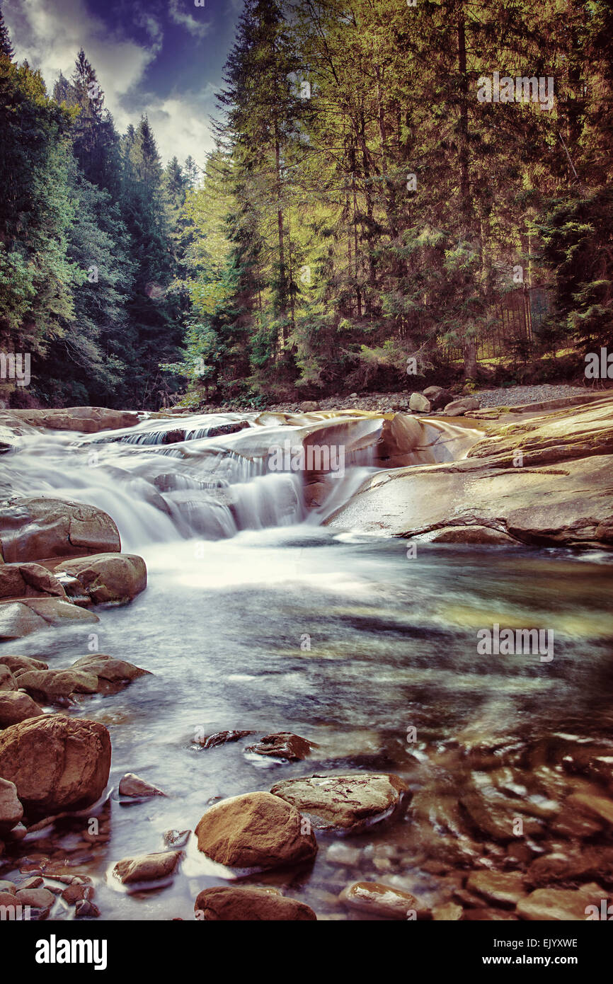 Beautiful waterfall in the forest, fresh falling water between stones ...