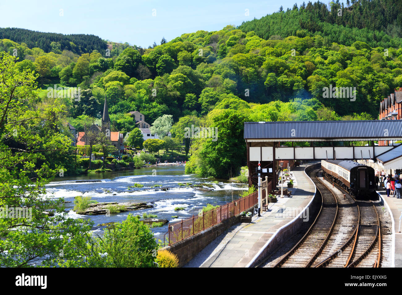 A steam train leaves Llangollen on the standard gauge heritage railway ...