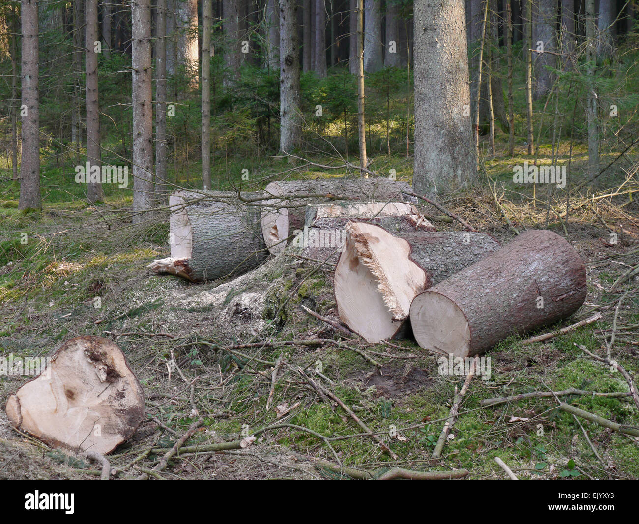 Stub track hi-res stock photography and images - Alamy