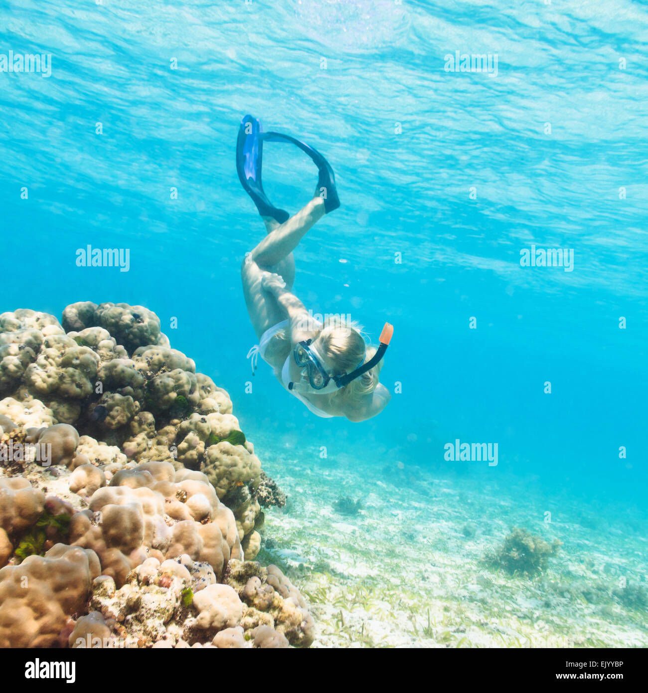 Beautiful woman diver swimming hi-res stock photography and images - Alamy