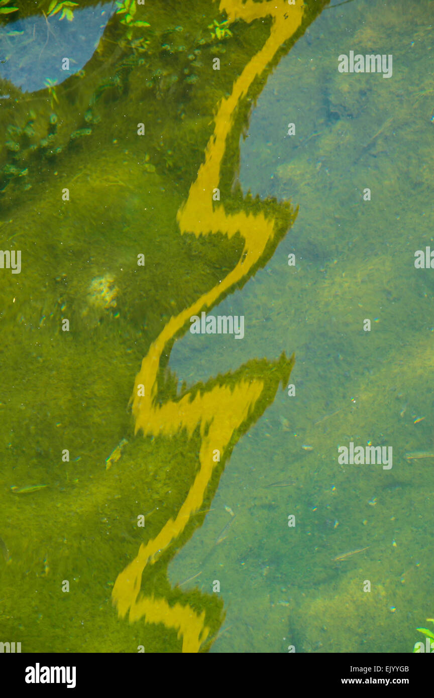 Water line surface hi-res stock photography and images - Alamy