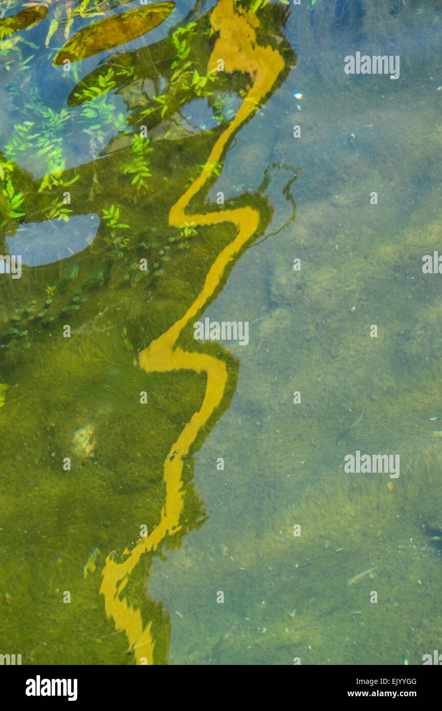 reflection of a yellow line on a river surface Stock Photo - Alamy
