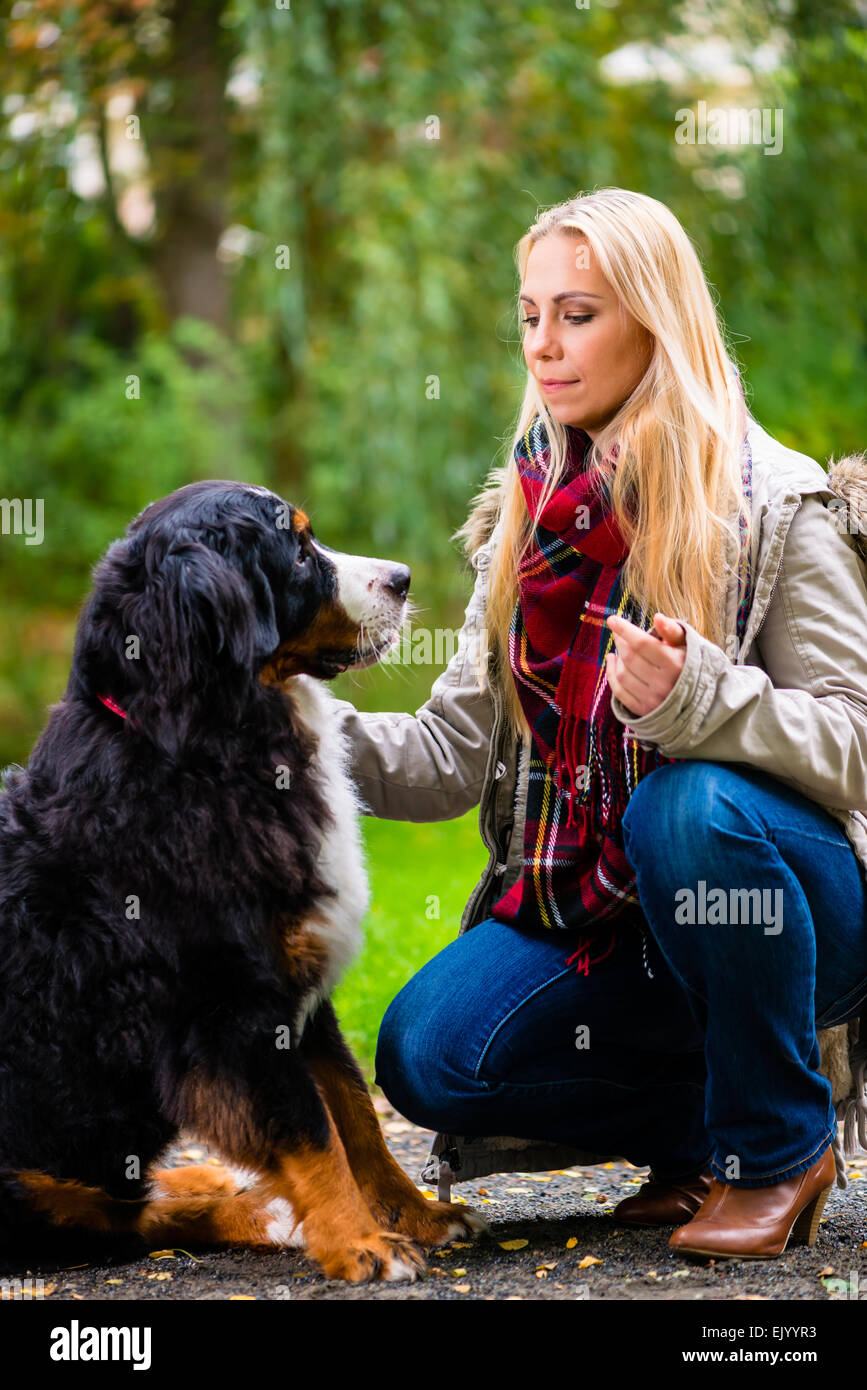 Woman walking the dog in fall park Stock Photo - Alamy