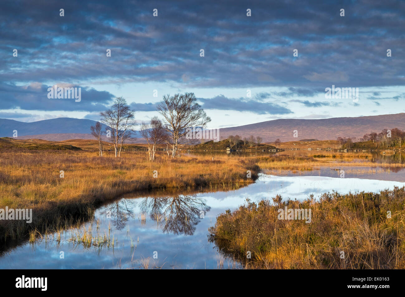 Rannoch moor hi-res stock photography and images - Alamy