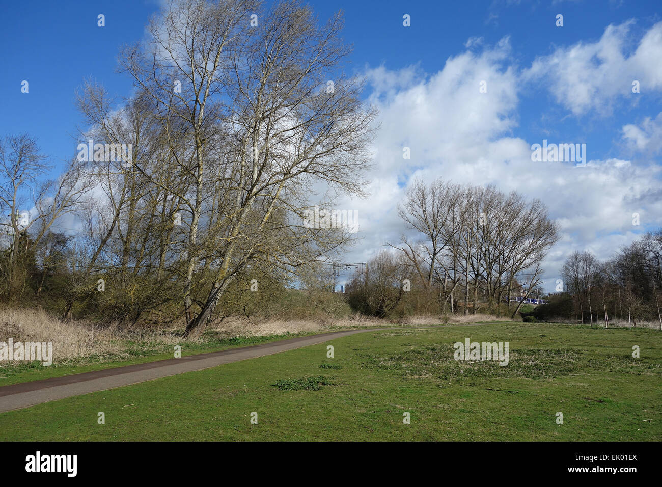 Witham country park hi-res stock photography and images - Alamy