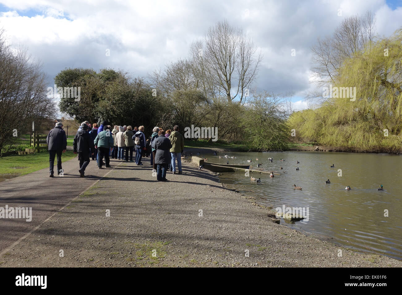 Group of retired people out on a weekly walk through local park and ...