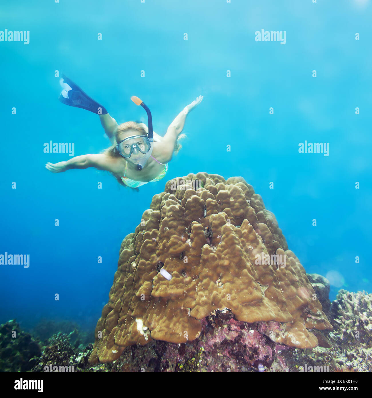 Beautiful woman diver swimming among the coral reef Stock Photo - Alamy