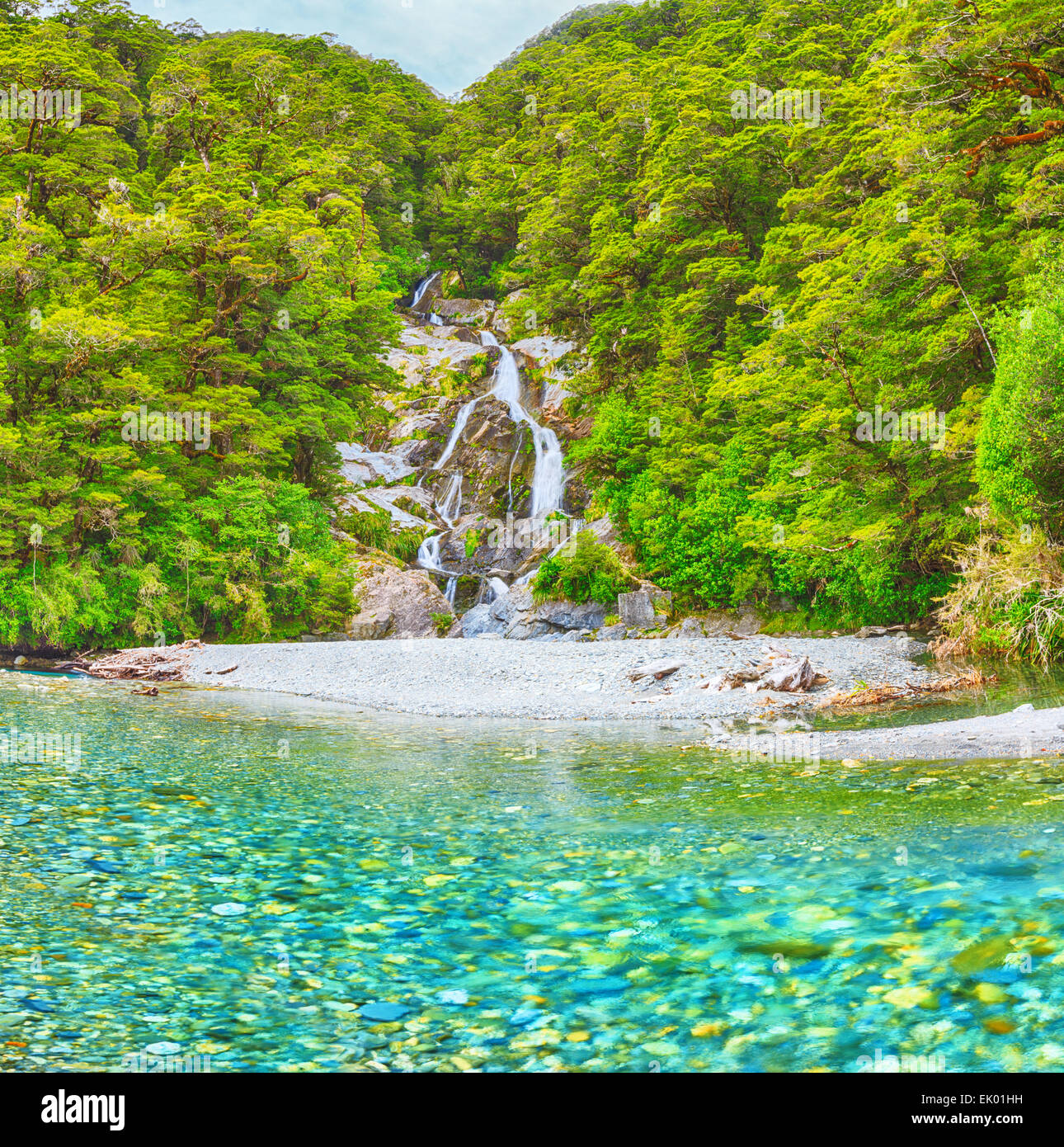 Roaring Billy Falls (Haast Pass, South Island, New Zealand Stock Photo ...