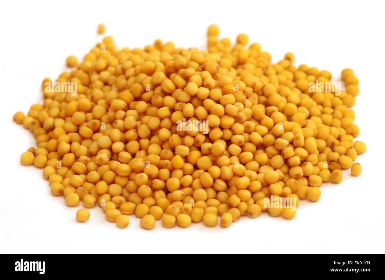 Fresh golden mustard over white background Stock Photo - Alamy