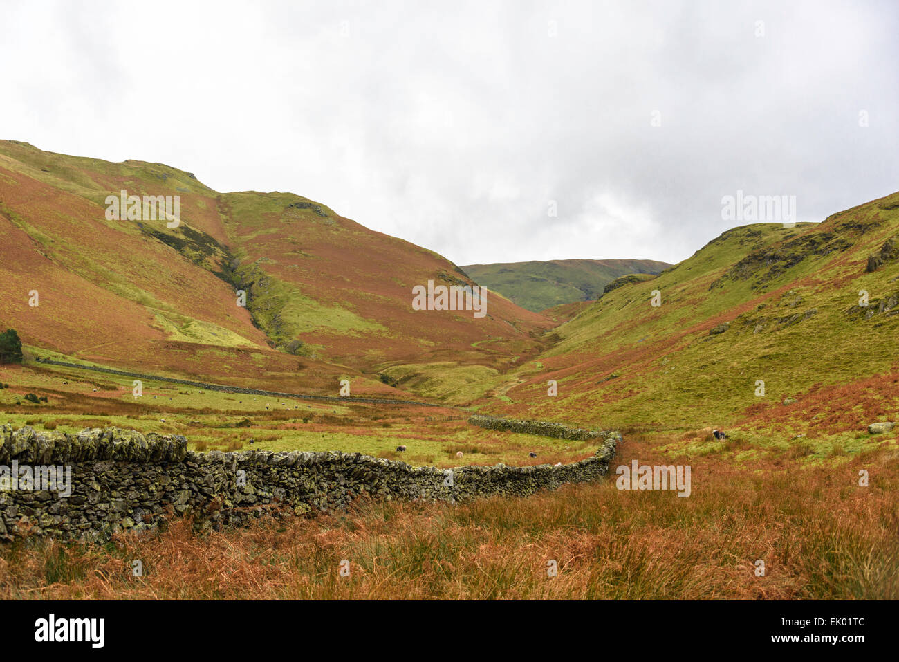 The path up the valley into the brooding hills Stock Photo - Alamy