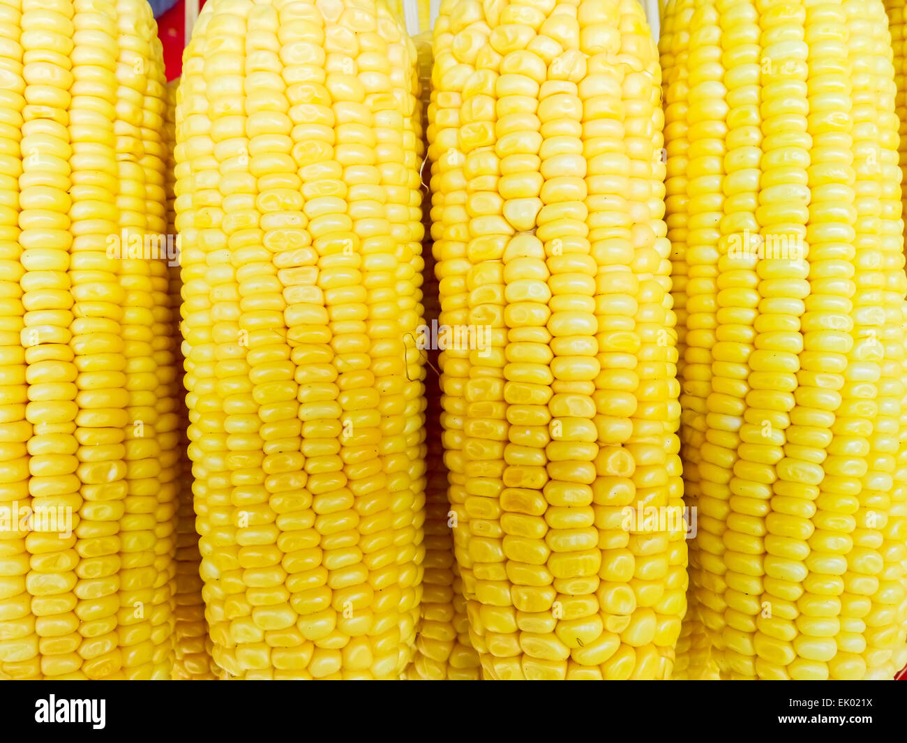 piles of raw sweet corn Stock Photo - Alamy